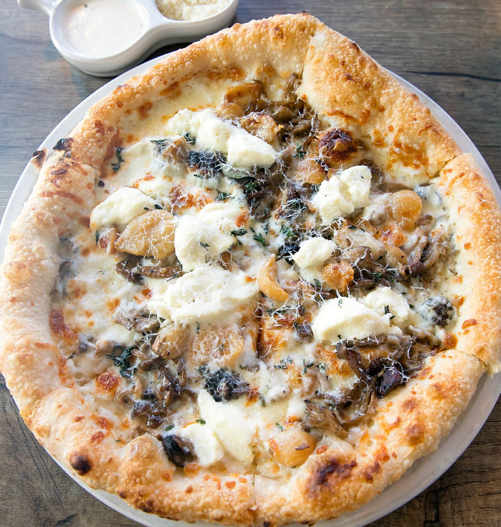 Cardellino - Kirbie's Cravings