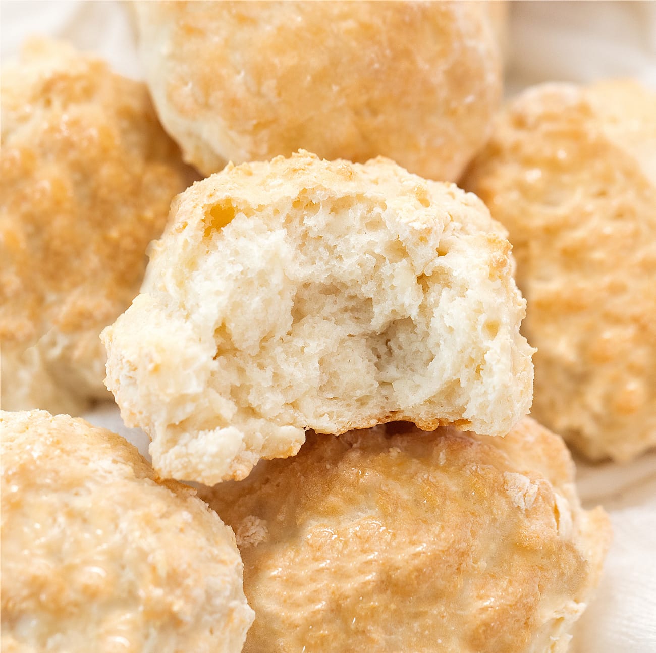 2 Ingredient Bread Rolls (No Yeast, Oil, Butter or Eggs) - Kirbie's ...