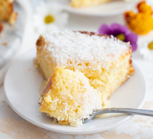 3 Ingredient Coconut Cake (No Flour, Butter or Oil) - Kirbie's Cravings