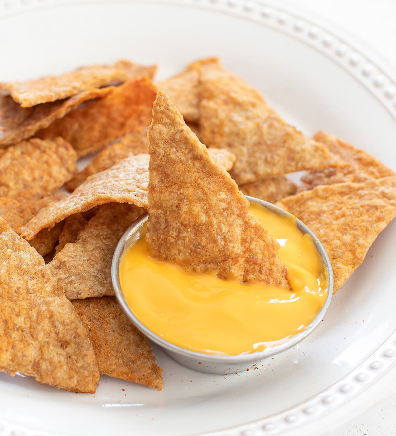 1 Ingredient Carnivore Chips - Kirbie's Cravings