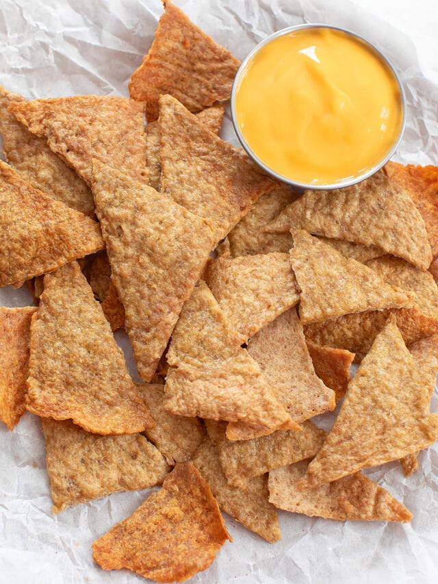 1 Ingredient Carnivore Chips - Kirbie's Cravings