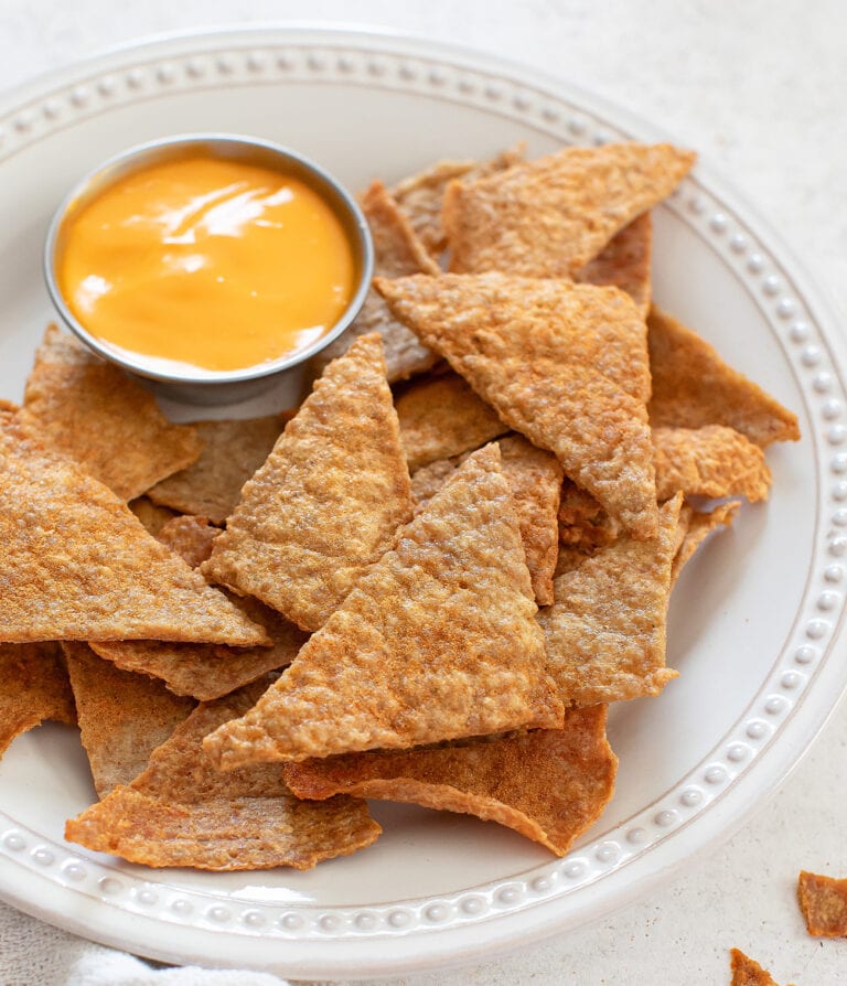 1 Ingredient Carnivore Chips - Kirbie's Cravings