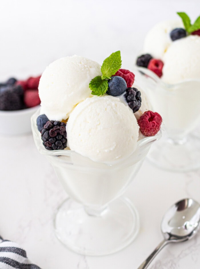 2 Ingredient Keto Frozen Yogurt (No Ice Cream Maker Needed) - Kirbie's ...